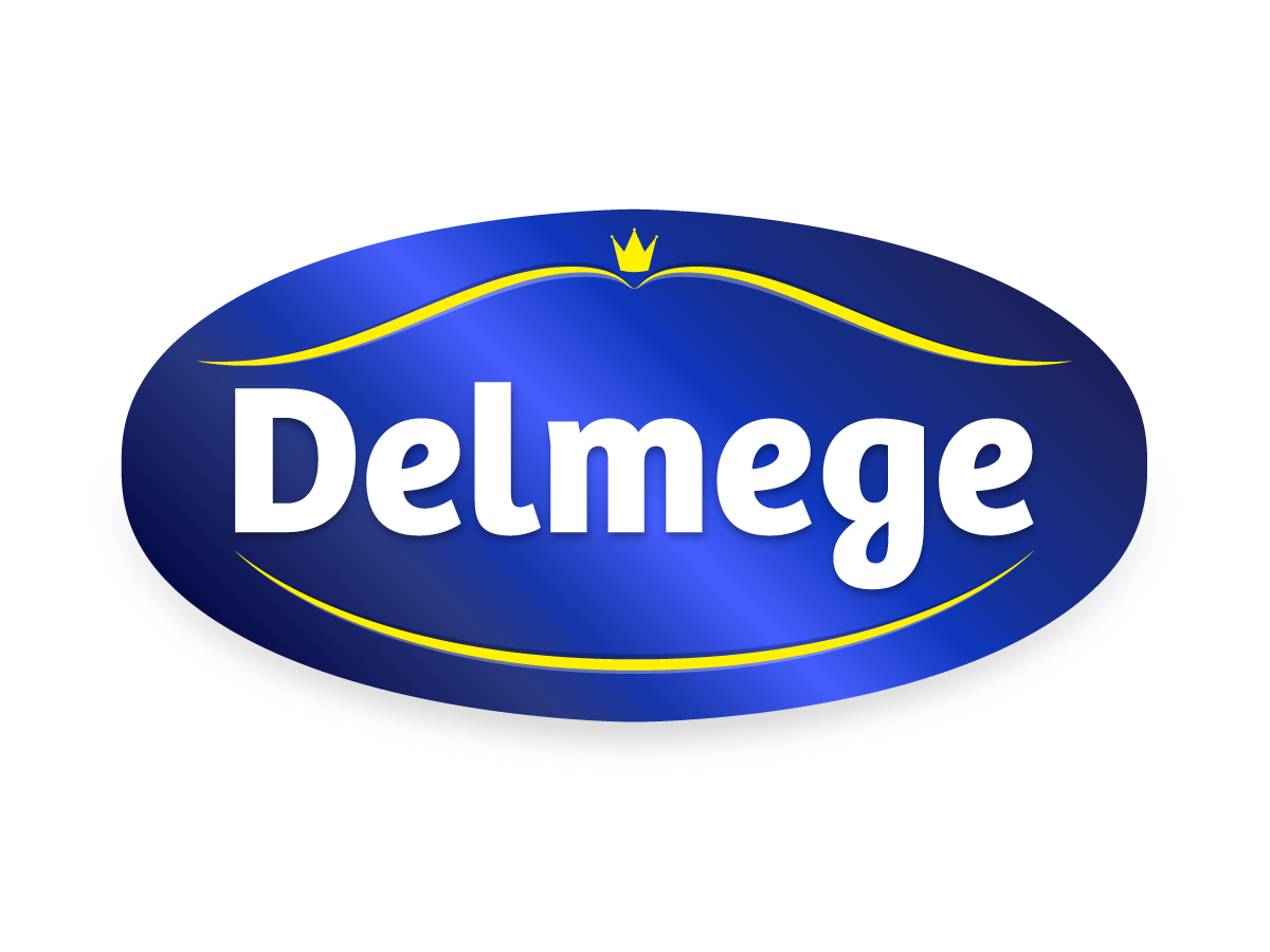 It Company Logo Design for Delmege by leoxgfx | Design #5623906