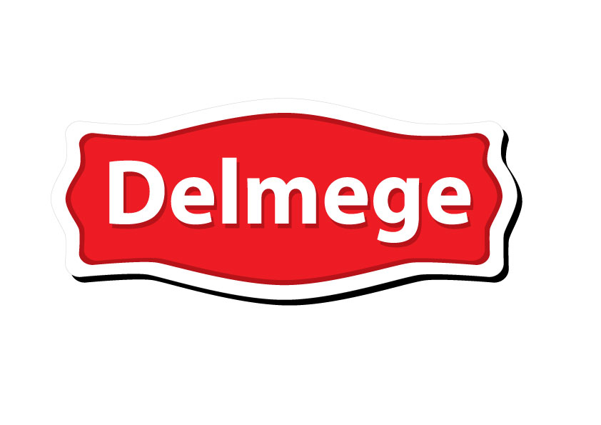 It Company Logo Design for Delmege by bc21 | Design #5604989