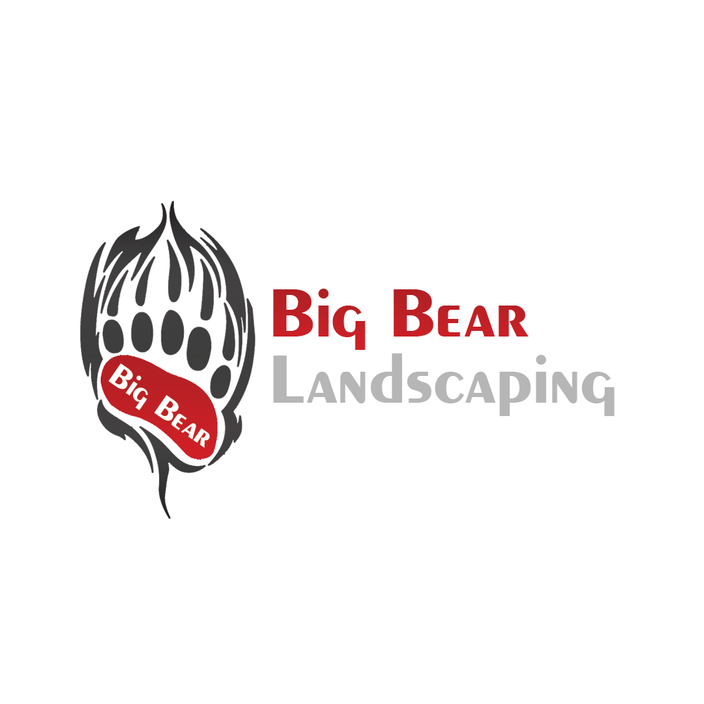 Elegant, Playful, Business Logo Design for Big Bear Landscaping by ...