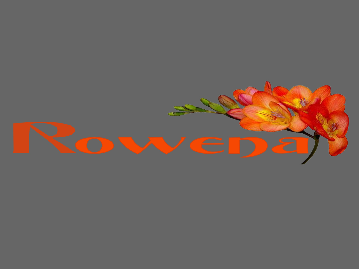 Elegant, Modern, Boutique Logo Design for Rowena by elysawus | Design ...