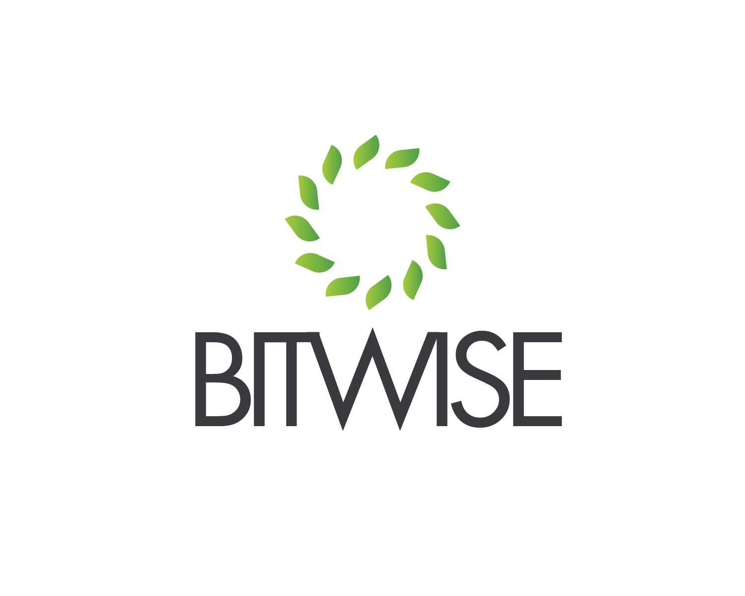 Bold, Playful, Digital Logo Design for Bitwise or BITWISE or bitwise by ...