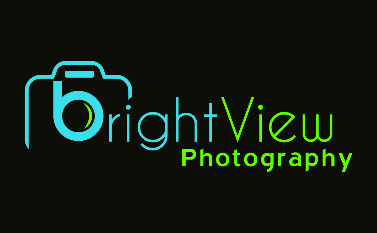 Modern, Colorful, Business Logo Design for BrightView Photography by ...