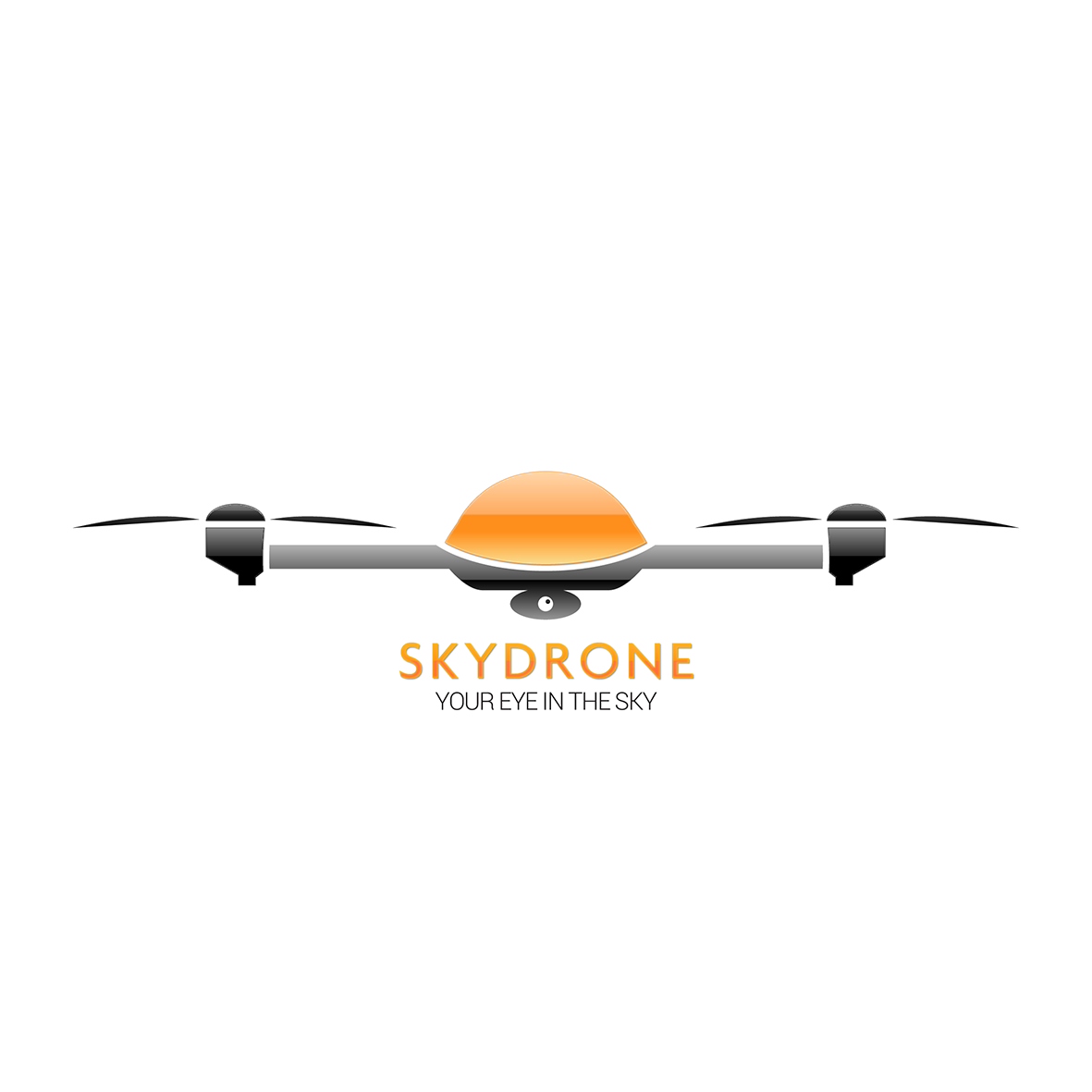Elegant, Playful, Business Logo Design for Skydrone - Aerial ...