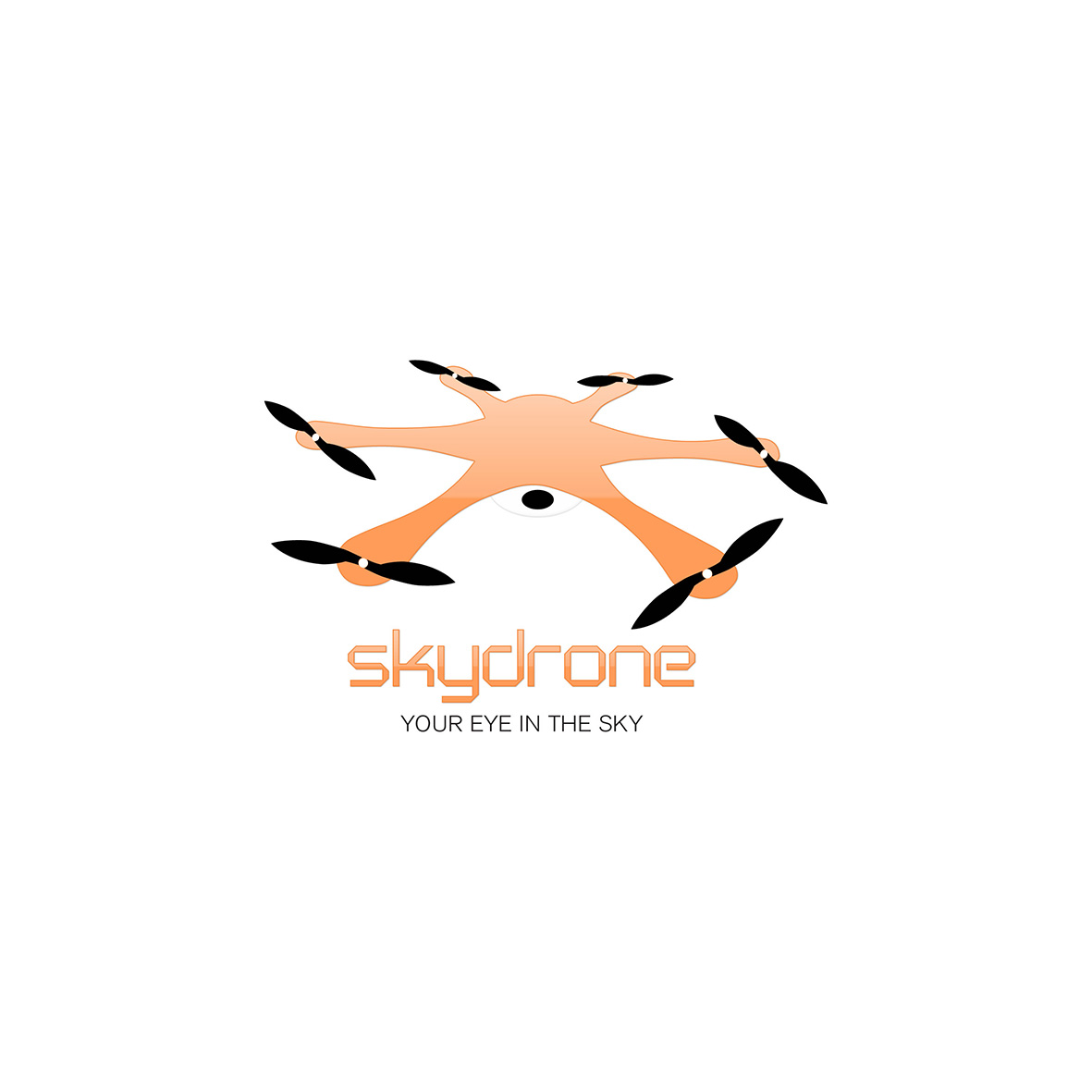 Elegant, Playful, Business Logo Design for Skydrone - Aerial ...