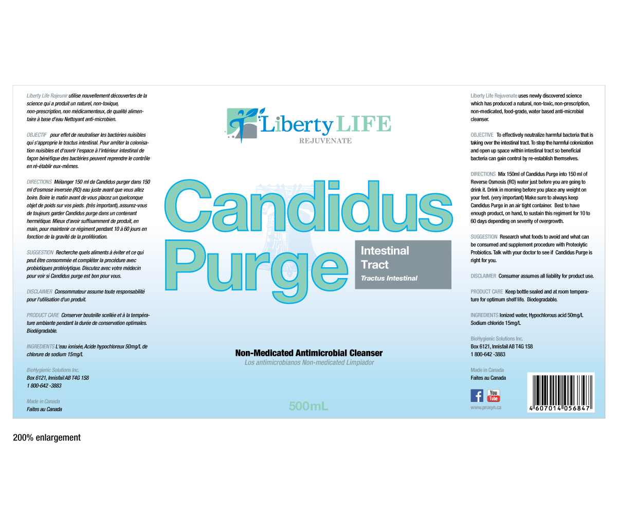 Elegant, Playful Graphic Design for a Company by Simon Hon | Design ...