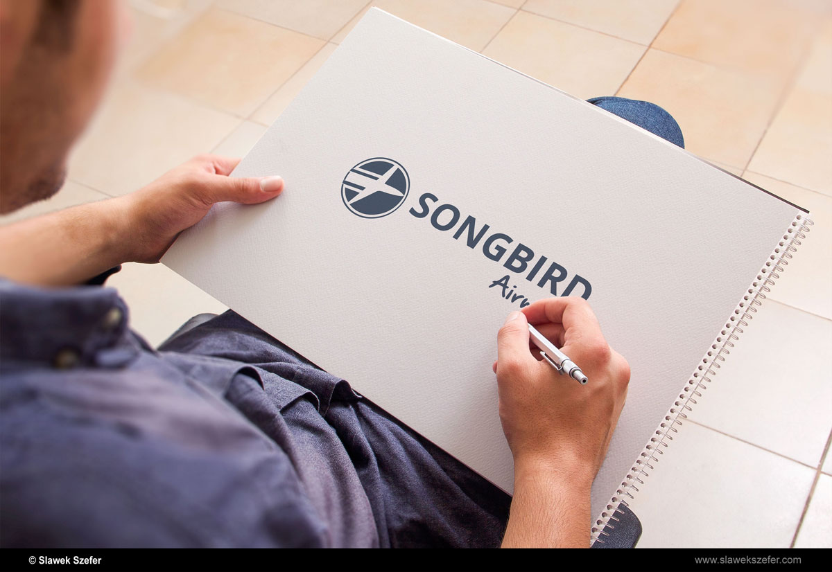 Serious, Modern, Airline Logo Design for Songbird Airways (Also to be ...