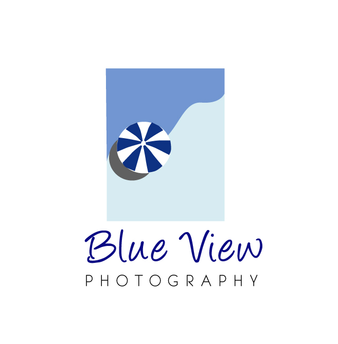 Elegant, Playful, Business Logo Design for Blue View Photography or GN ...