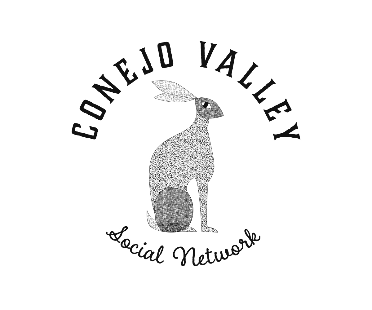 Bold, Modern, Social Logo Design for Conejo Valley Social Network by ...