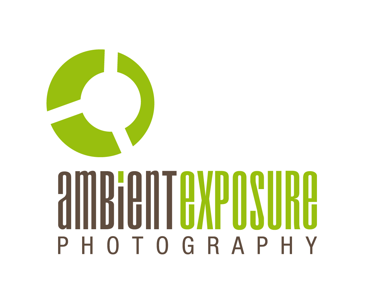 Serious, Conservative, Business Logo Design for Ambient Exposure ...
