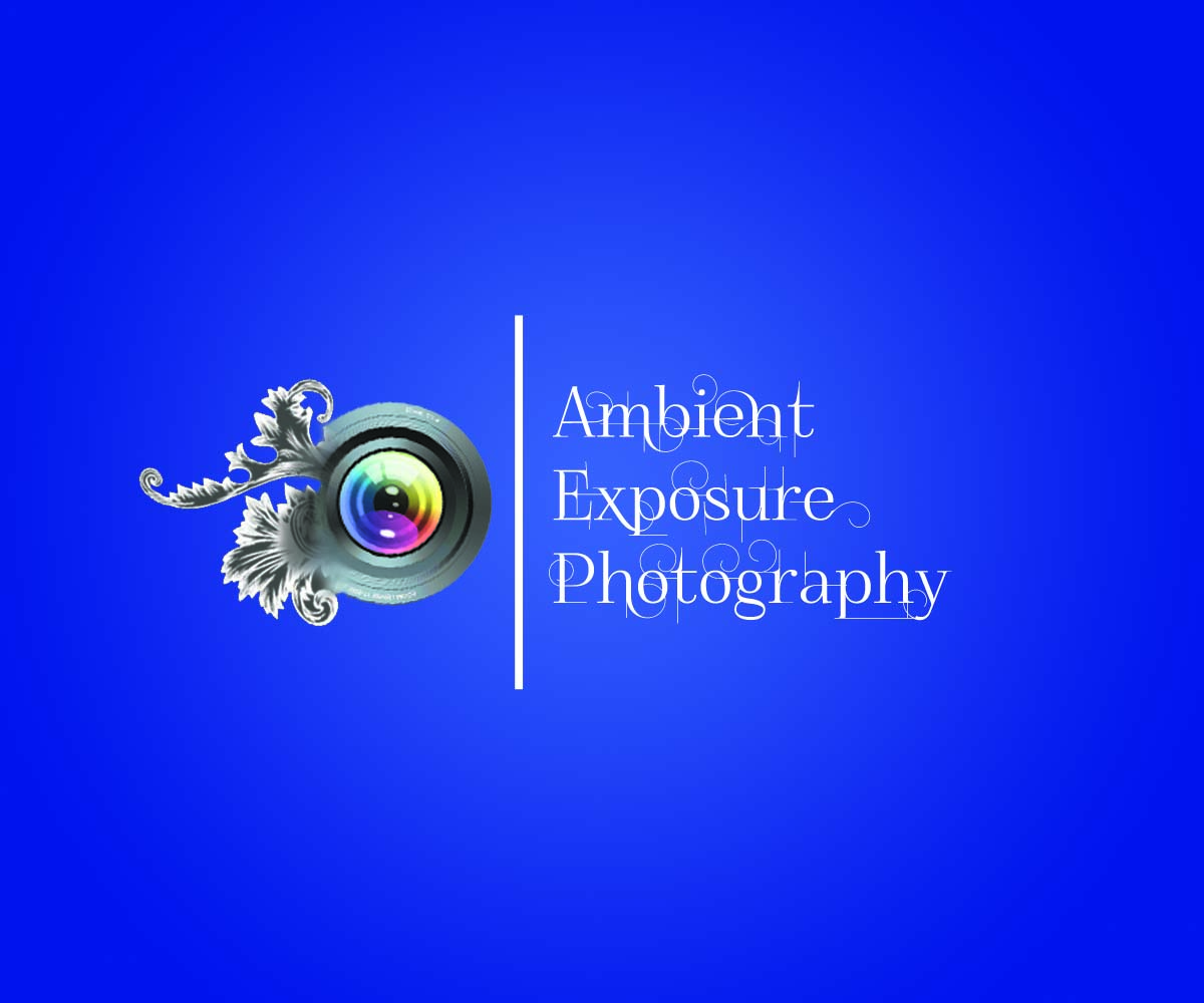 Serious, Conservative, Business Logo Design for Ambient Exposure ...