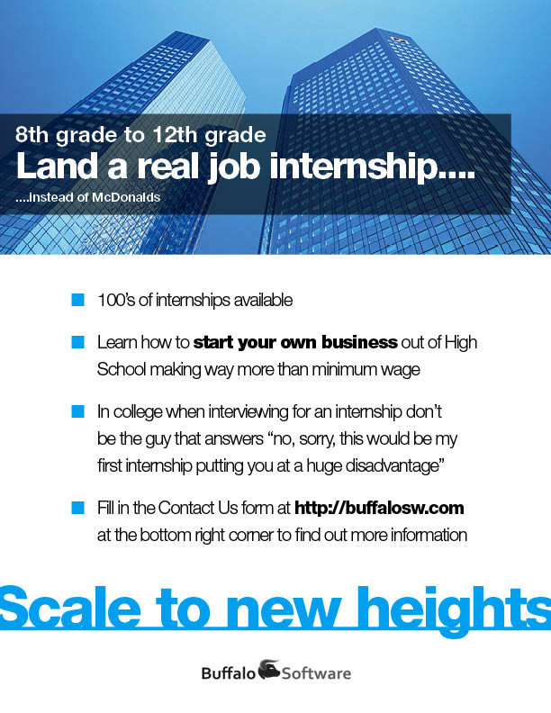 Modern, Bold, Marketing Flyer Design for Buffalo Software by ...