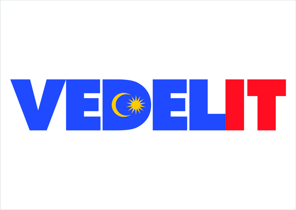 Serious, Professional, Software Logo Design for Vedel IT (or VedelIT ...