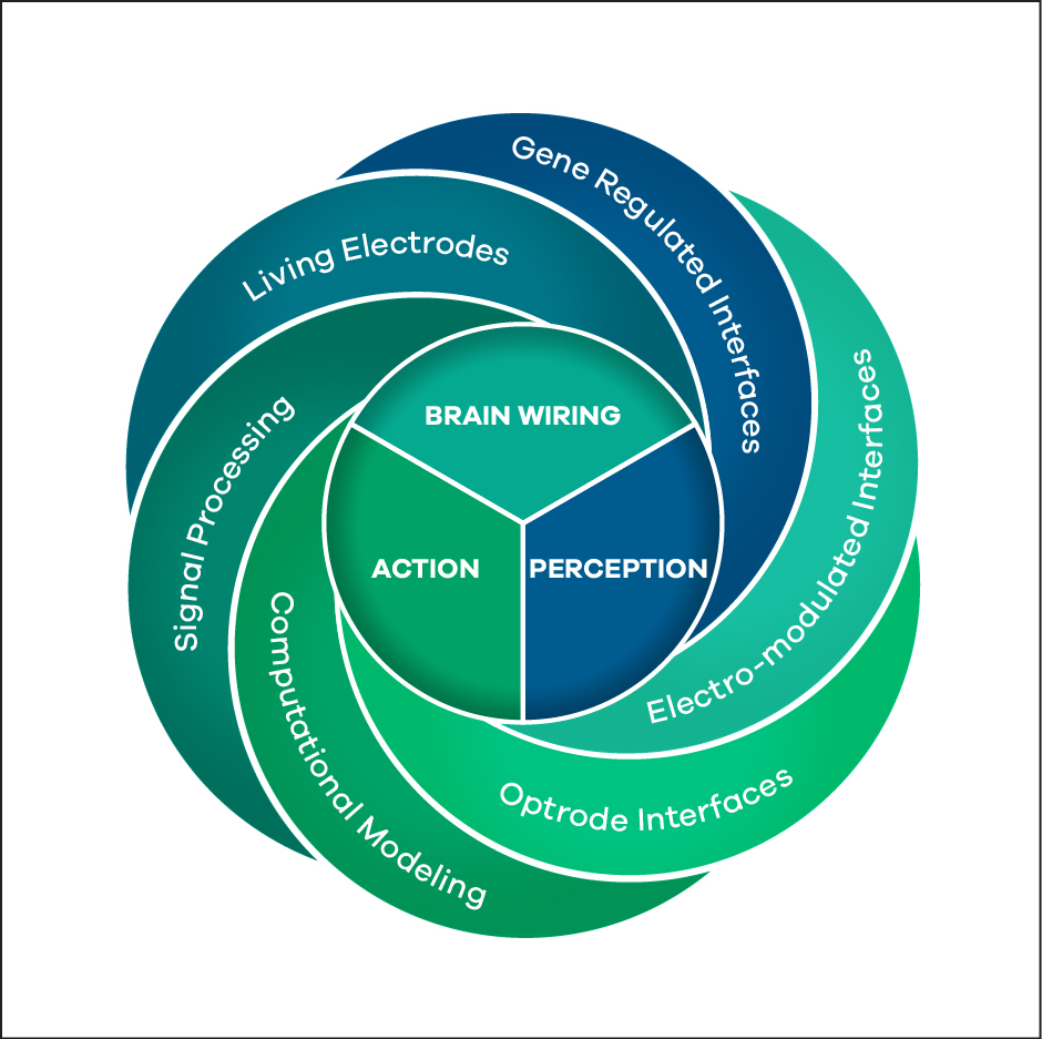 Serious, Professional, Technical Graphic Design for a Company by raph ...