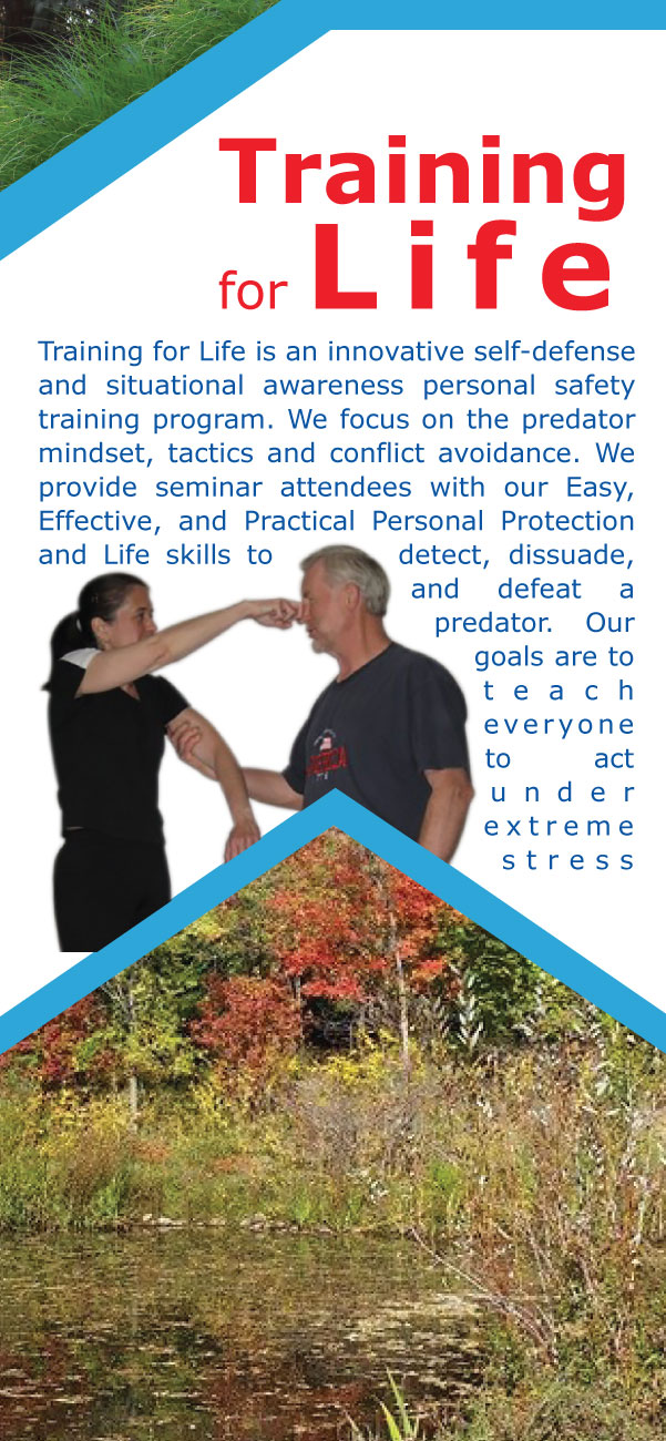 Serious, Professional, Education Flyer Design for Elite S.A.F.E ...