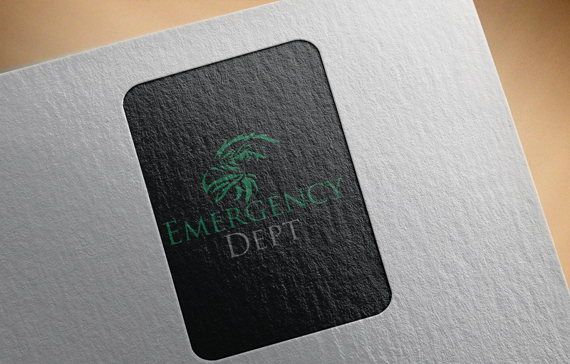 It Company Logo Design for FEMA, Possibly Fredericksburg (or F'burg ...