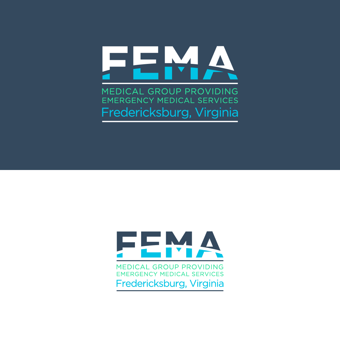 It Company Diseño de Logo for FEMA, Possibly Fredericksburg (or F'burg ...