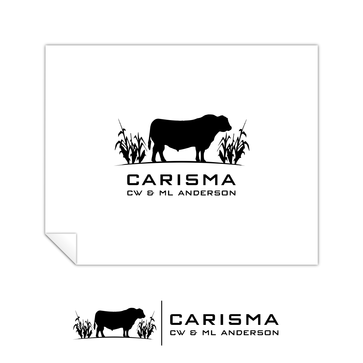 Playful, Elegant, Business Logo Design for CARISMA CW & ML ANDERSON by ...