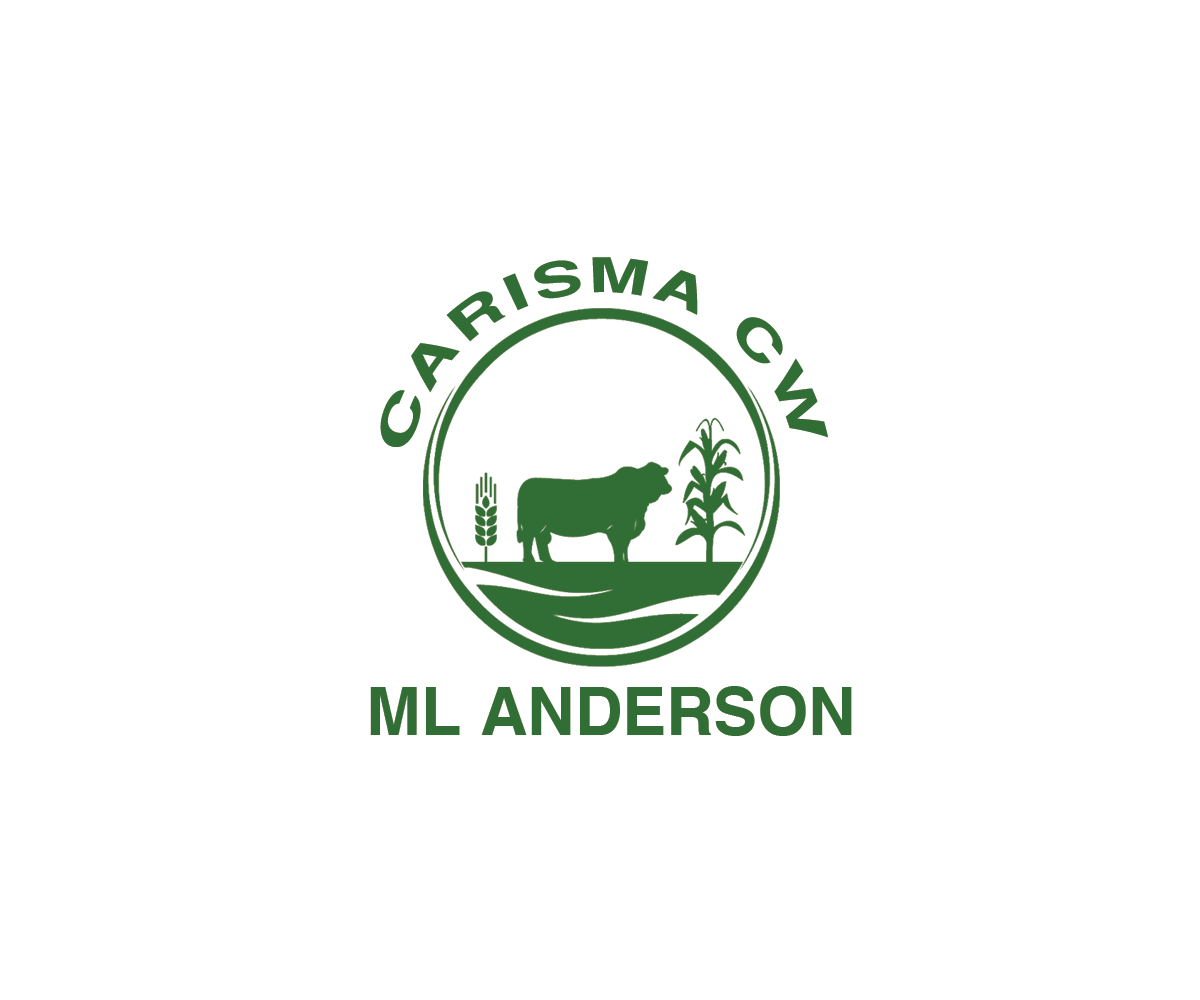 Playful, Elegant, Business Logo Design for CARISMA CW & ML ANDERSON by ...