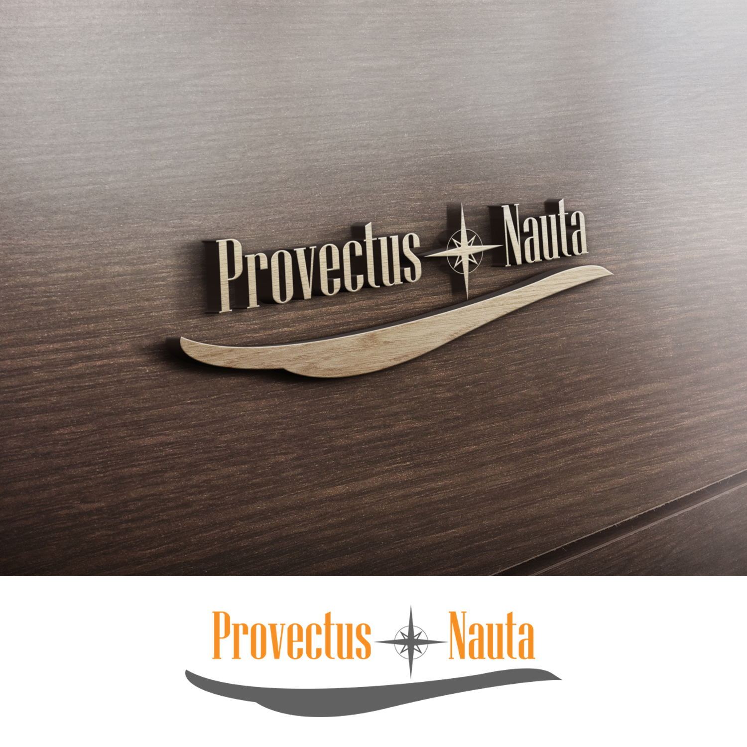 Elegant, Serious, Management Consulting Logo Design for Provectus Nauta ...