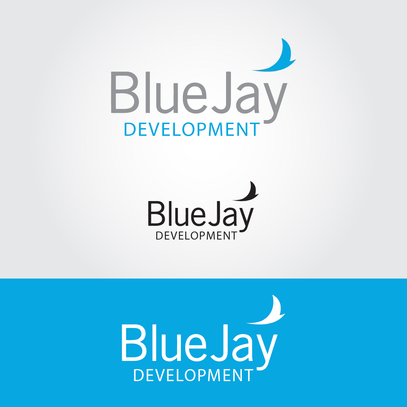 Elegant, Playful, Real Estate Logo Design for Blue Jay Development by ...