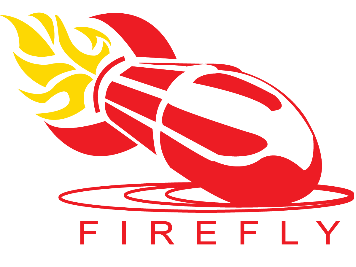 Modern, Conservative, It Company Logo Design for "firefly" (capital or ...
