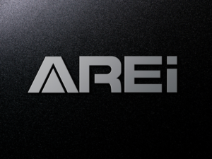 Design of an AREI logo that will give the impression we have a ...