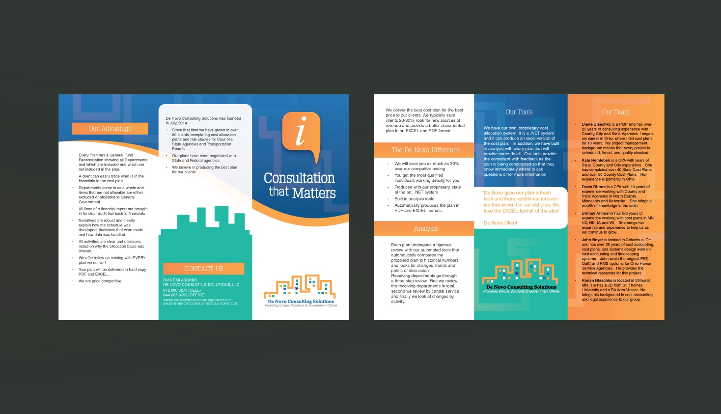 Bold, Colorful, Consulting Flyer Design for De Novo Consulting ...