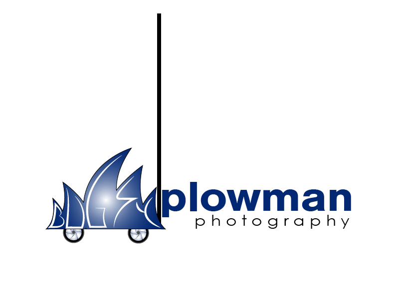 Serious, Modern, Business Logo Design for Bugsy Plowman Photography by ...