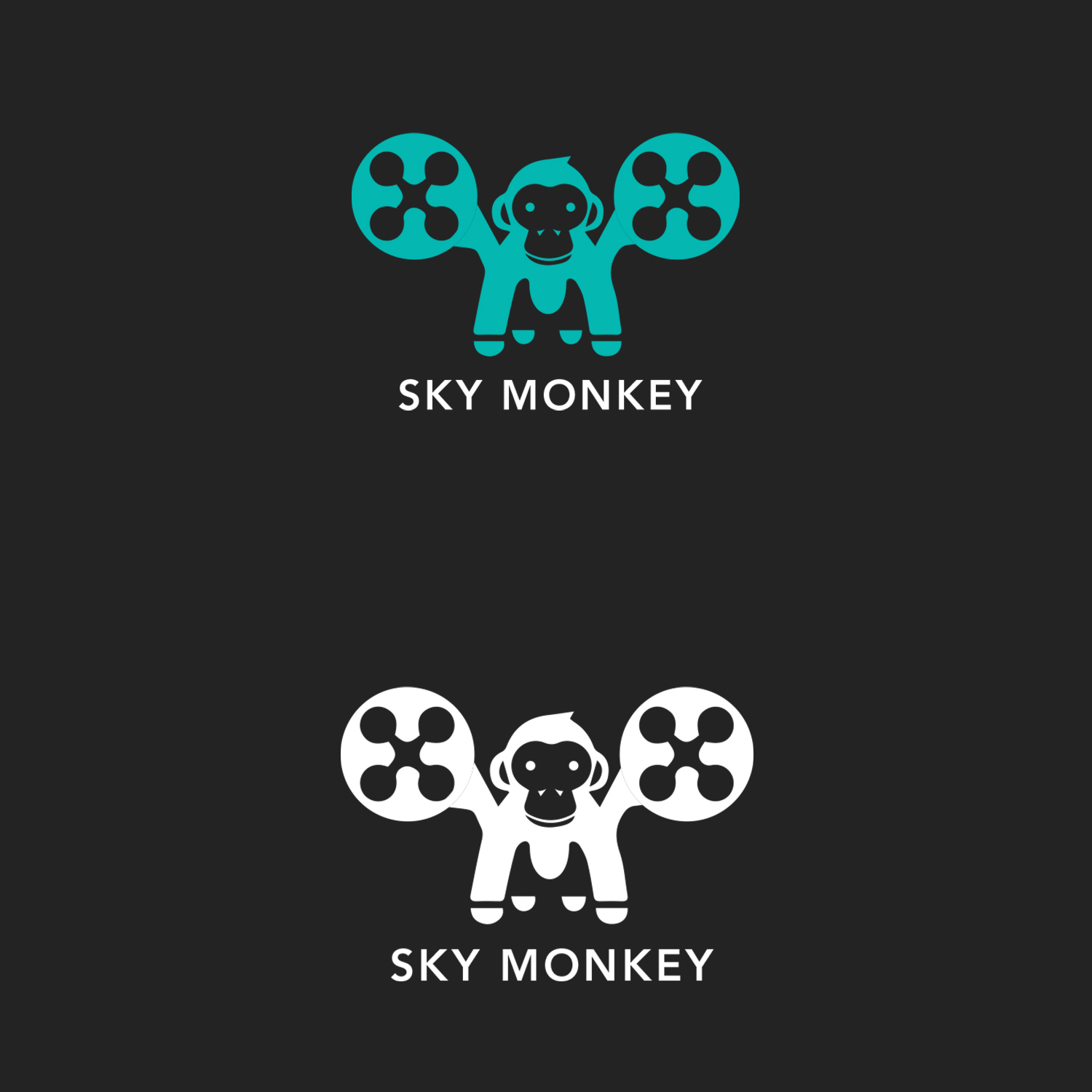 Modern, Playful, Business Logo Design for Sky Monkey by vp.salim ...