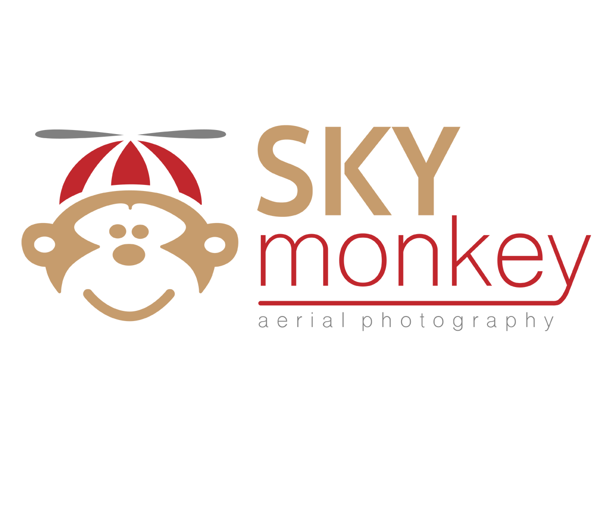 Modern, Playful, Business Logo Design for Sky Monkey by beryb | Design ...