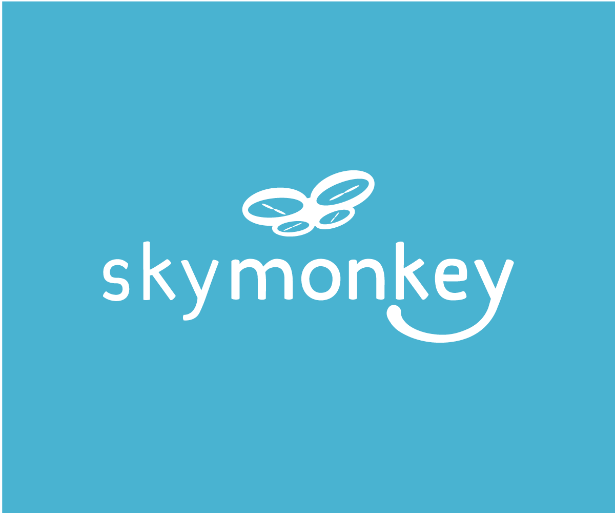 Modern, Playful, Business Logo Design for Sky Monkey by Aaron Kyle ...
