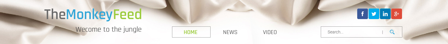 Bold, Serious, Information Technology Web Design for Themonkeyfeed ...