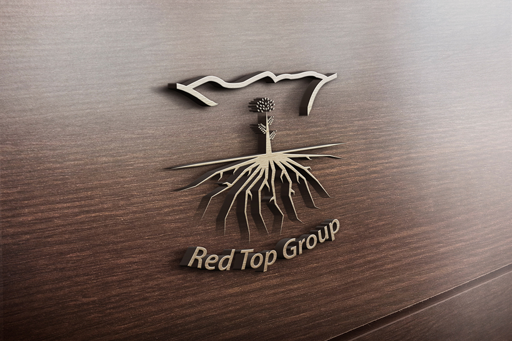 Modern, Masculine, Business Logo Design for RTG or RedTop Group by ...