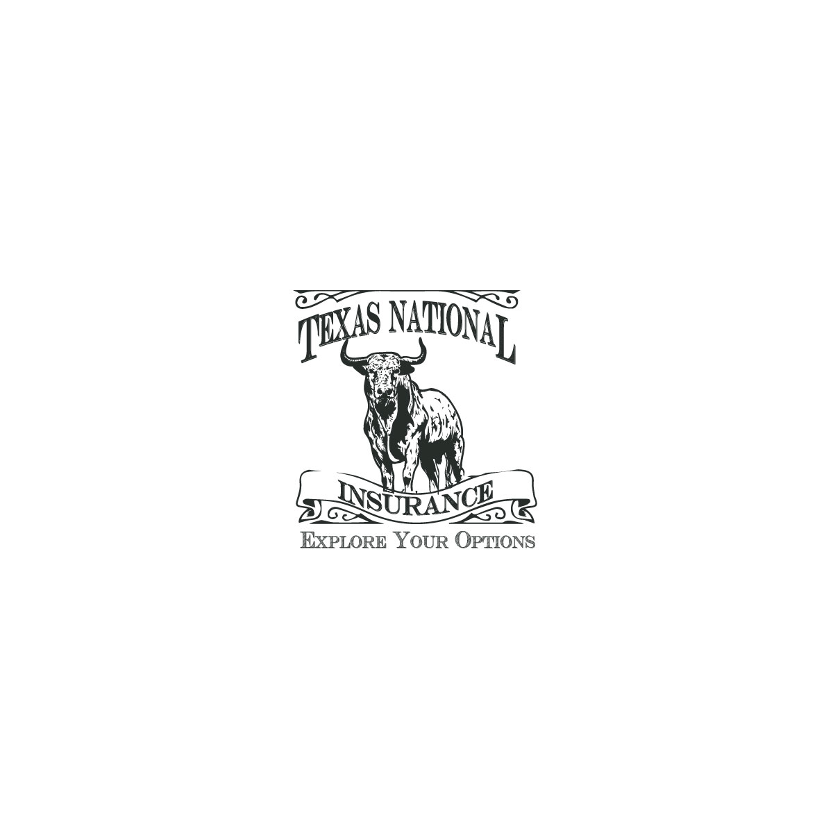 Business Logo Design for Texas National Insurance...with tag line of ...