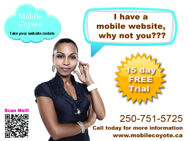 Modern, Bold, Advertising Graphic Design for Wired Coyote NetMedia ...