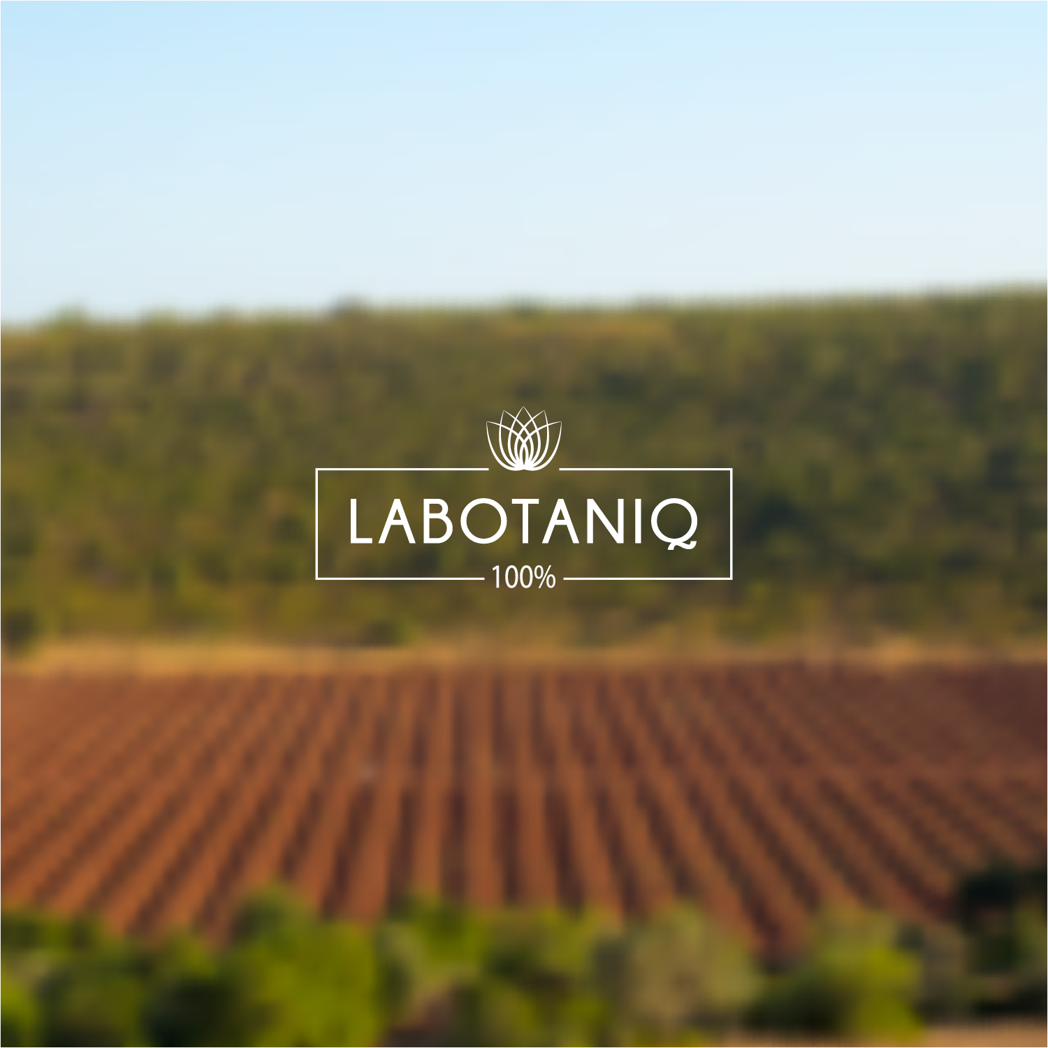 Modern, Colorful Logo Design for LABotaniq by Michale Designs | Design ...