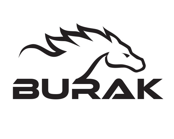 Modern, Professional, It Company Logo Design for BURAK by artespraticas ...