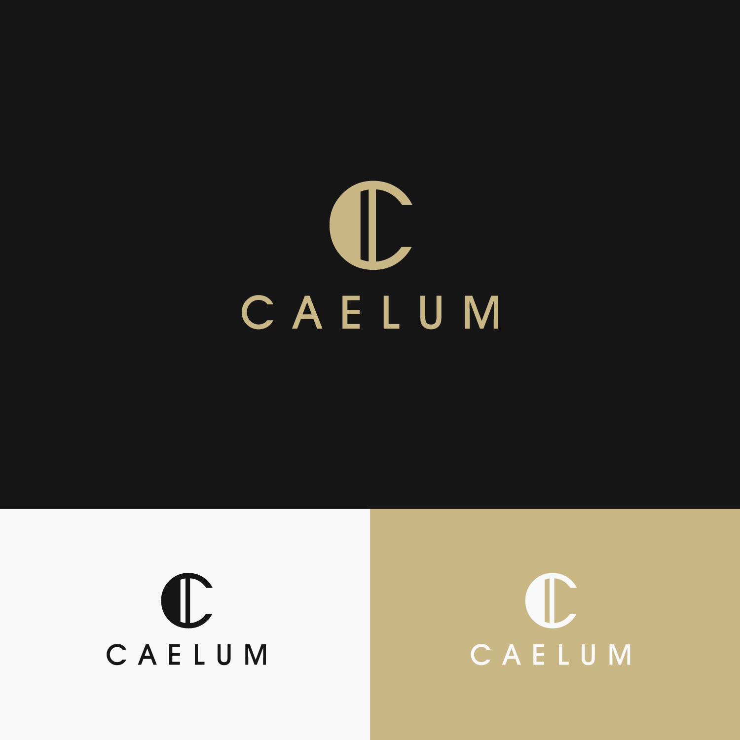 Caelum Logo Caelum Gay Productions