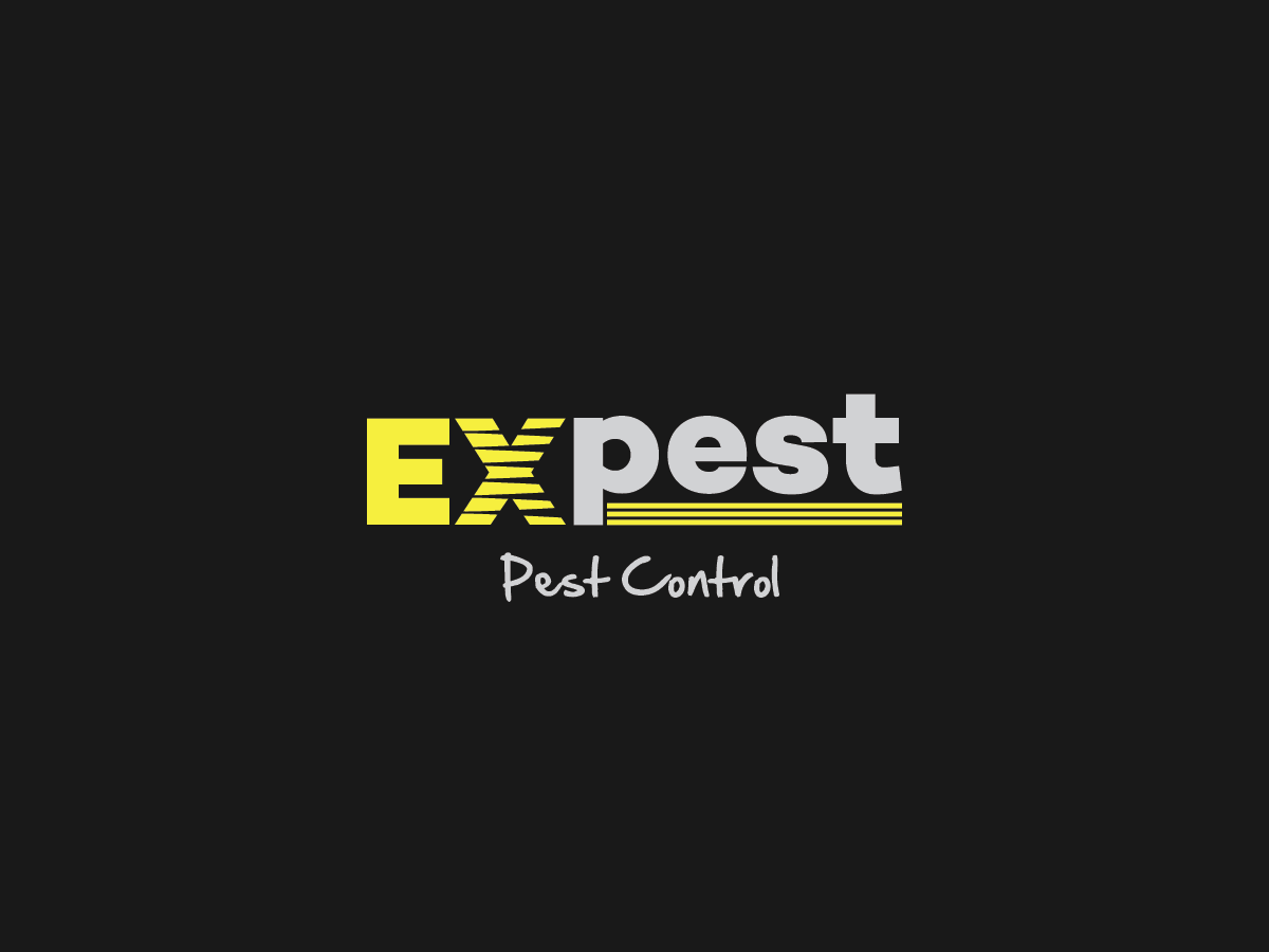 Serious, Modern, Pest Control Logo Design for Expest (with Pest Control ...