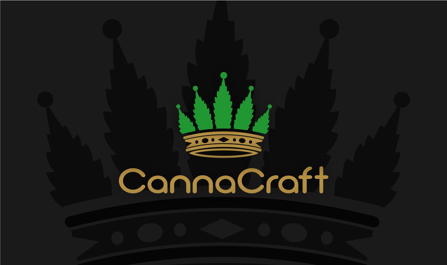 Economical, Modern, It Company Logo Design for Canna Craft by Kristina ...