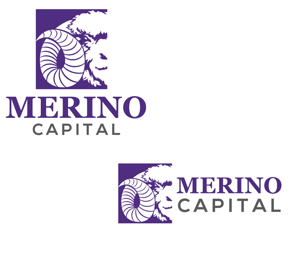 Professional, Elegant, Business Logo Design for Merino Capital by ...