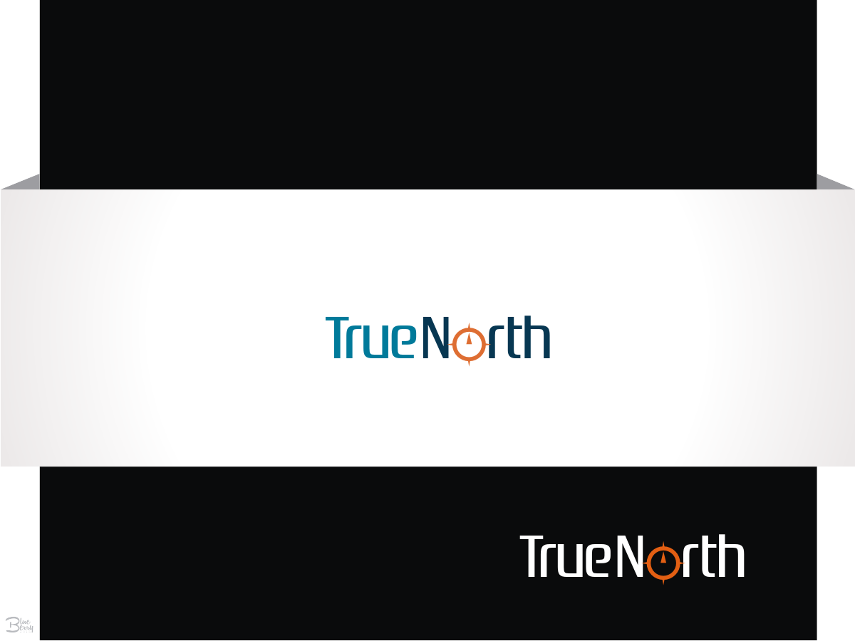 Bold, Playful, Apparel Logo Design for True North by Blueberry | Design ...