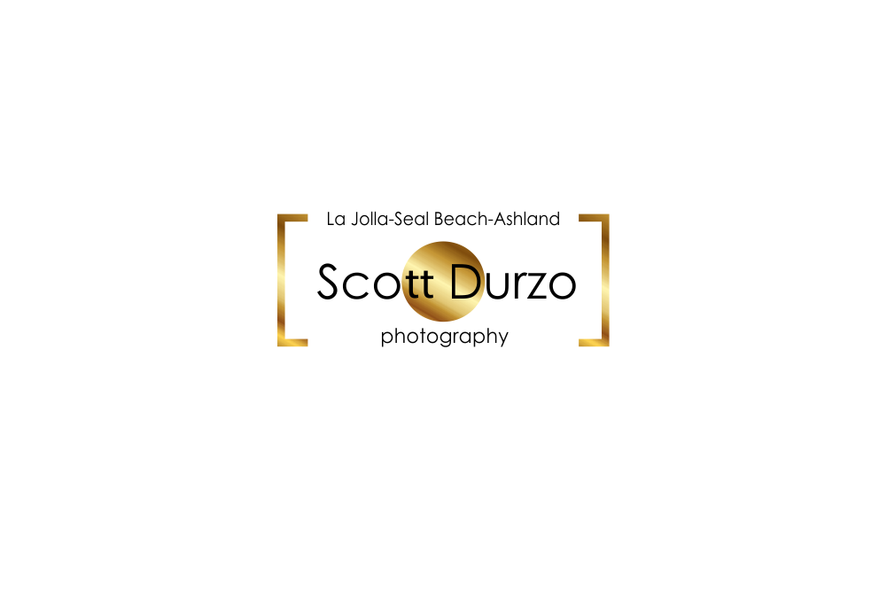 Elegant, Playful Logo Design for Scott Durzo Photography by Fox ...