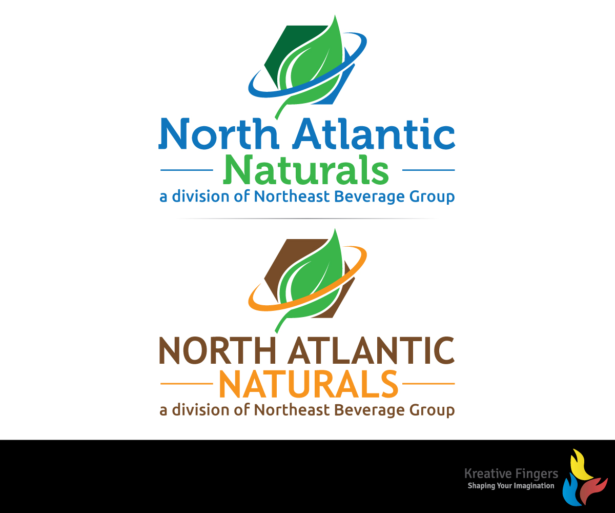 Upmarket, Professional, Business Logo Design for North Atlantic ...