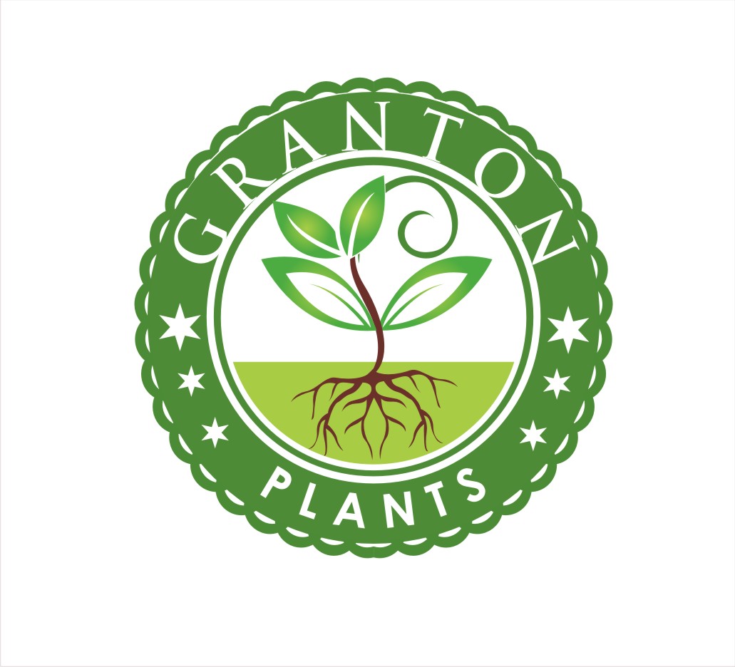 Work Logo Design for Granton Plants by nutu | Design #12046442