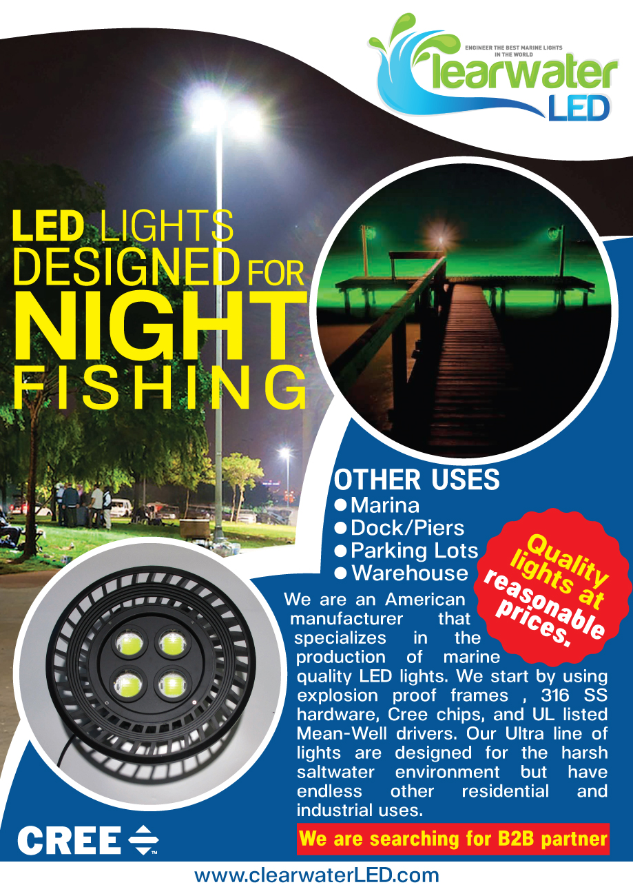 Bold, Serious, Marine Flyer Design for Fishing Lights LLC by Impressive ...