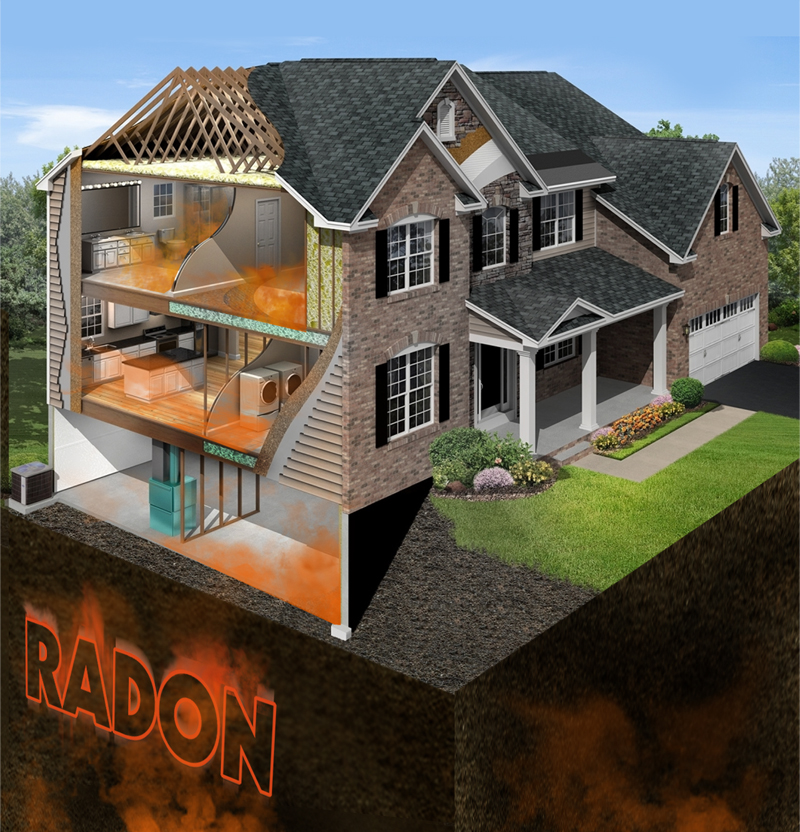 Bold, Serious, Real Estate Graphic Design for RMS by SUNEEEEEL | Design ...