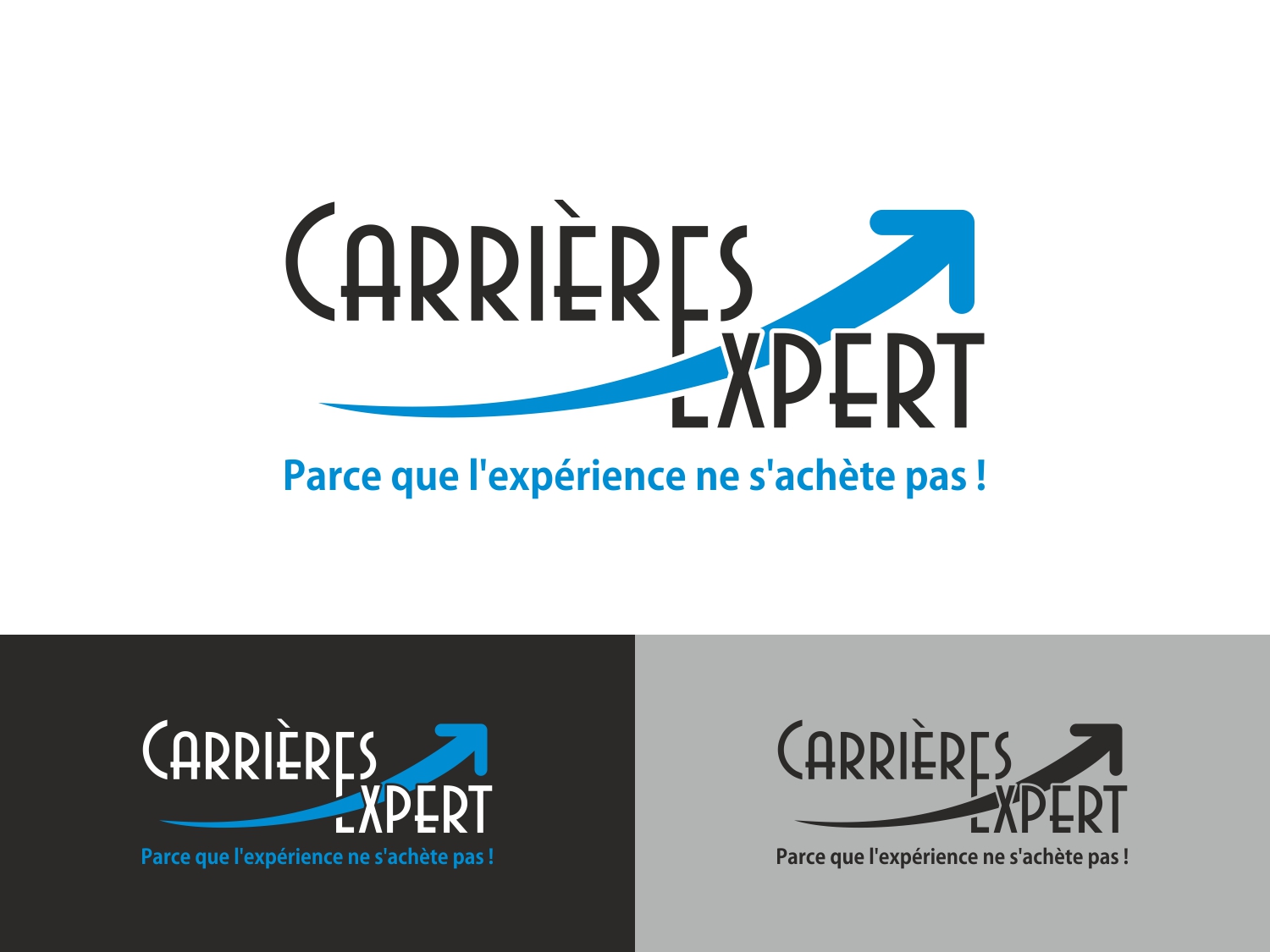 Professional, Modern, Professional Service Logo Design for Carrières ...