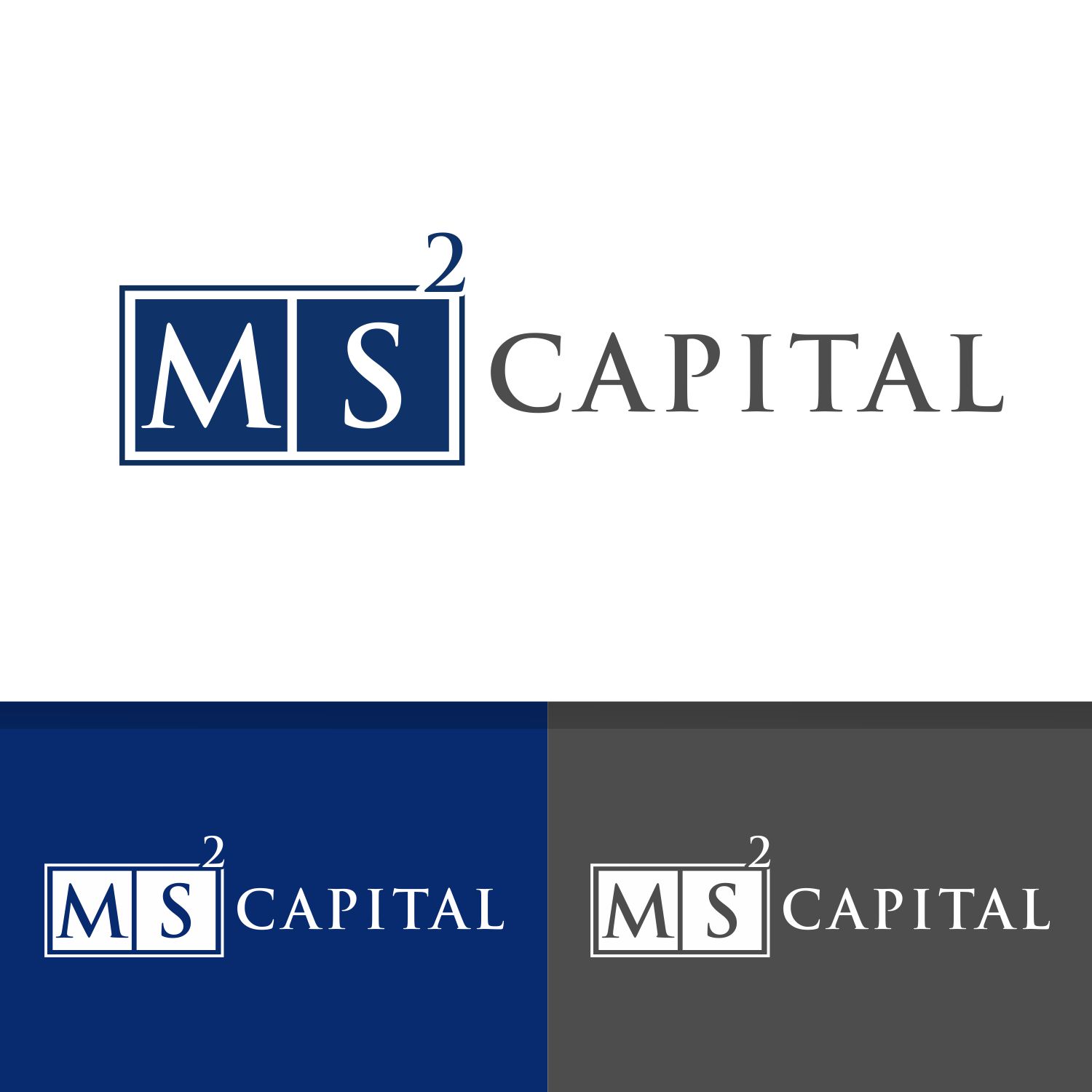 Elegant, Serious, Financial Logo Design for MS2 Capital by R Graphic ...