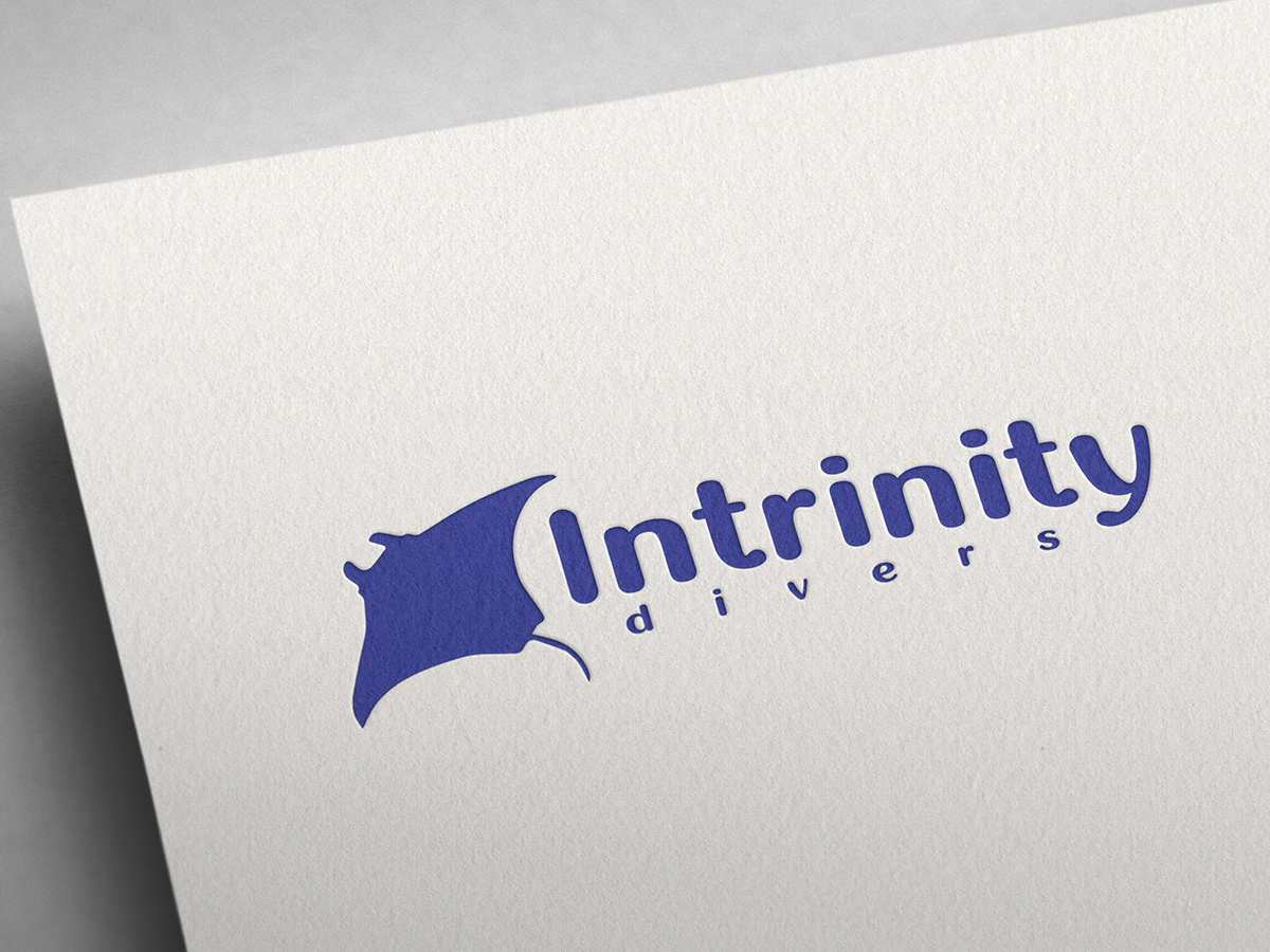 Elegant, Playful, It Company Logo Design for Intrinity Divers by ...